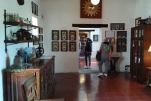 "Tlalchichi los perros de Colima" Maravíllate de su historia