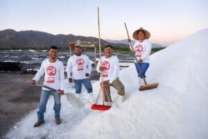 "Tlalchichi los perros de Colima" Maravíllate de su historia