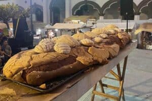 "Tlalchichi los perros de Colima" Maravíllate de su historia