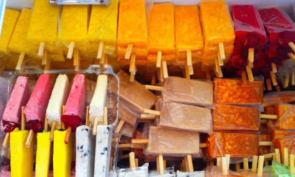 MEXTICACÁN: conociendo la CUNA de las PALETAS | El Souvenir