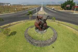 "Tlalchichi los perros de Colima" Maravíllate de su historia