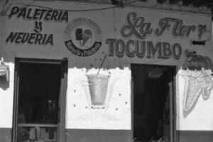 TOCUMBO, el pueblo que CREÓ a la HELADERÍA la MICHOACANA | El Souvenir
