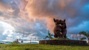 Papel picado: El colorido legado de Huixcolotla que adorna México | El ...