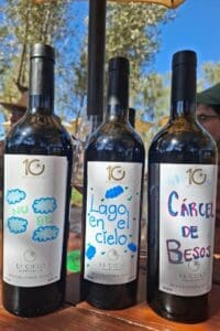 Parque Acuático el Vergel, un paraíso de diversión. | El Souvenir