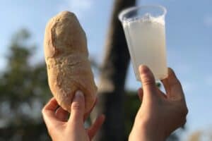 La TUBA: una BEBIDA ANCESTRAL de COLIMA | El Souvenir