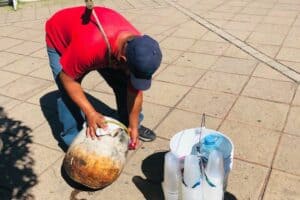 La TUBA: una BEBIDA ANCESTRAL de COLIMA | El Souvenir