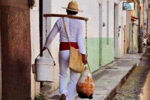 La TUBA: una BEBIDA ANCESTRAL de COLIMA | El Souvenir