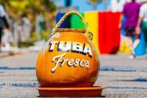 La TUBA: una BEBIDA ANCESTRAL de COLIMA | El Souvenir