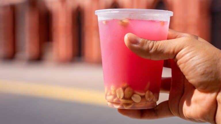 "Tlalchichi los perros de Colima" Maravíllate de su historia