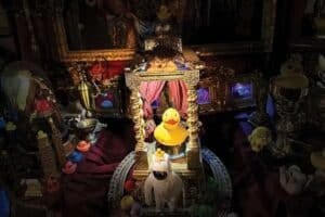 IGLESIA PATÓLICA: donde el DIOS es un PATO y la FE se celebra entre ...