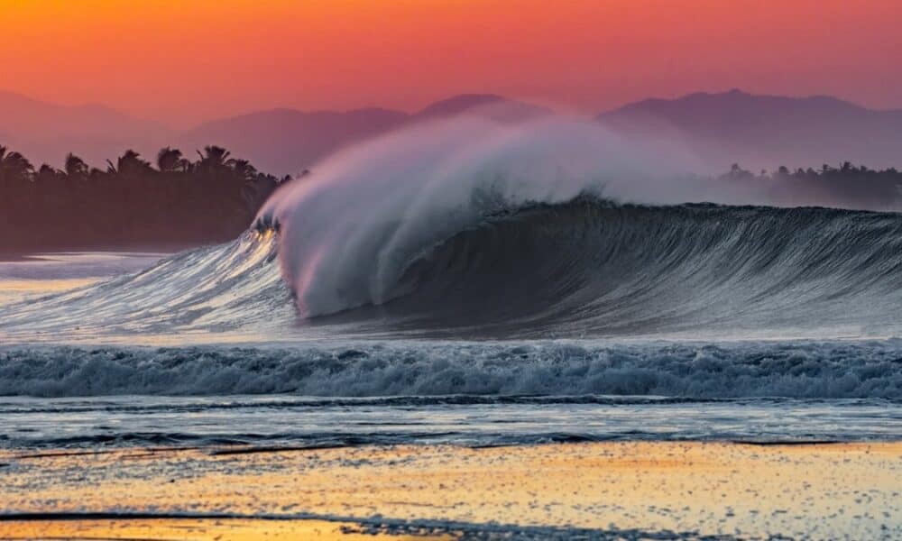 La TUBA: una BEBIDA ANCESTRAL de COLIMA | El Souvenir