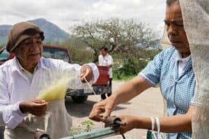 Los PERRITOS BAILARINES de COLIMA: una ARTESANÍA con RITMO | El Souvenir