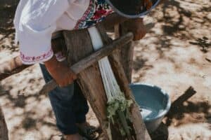 Los PERRITOS BAILARINES de COLIMA: una ARTESANÍA con RITMO | El Souvenir