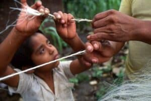 Los PERRITOS BAILARINES de COLIMA: una ARTESANÍA con RITMO | El Souvenir