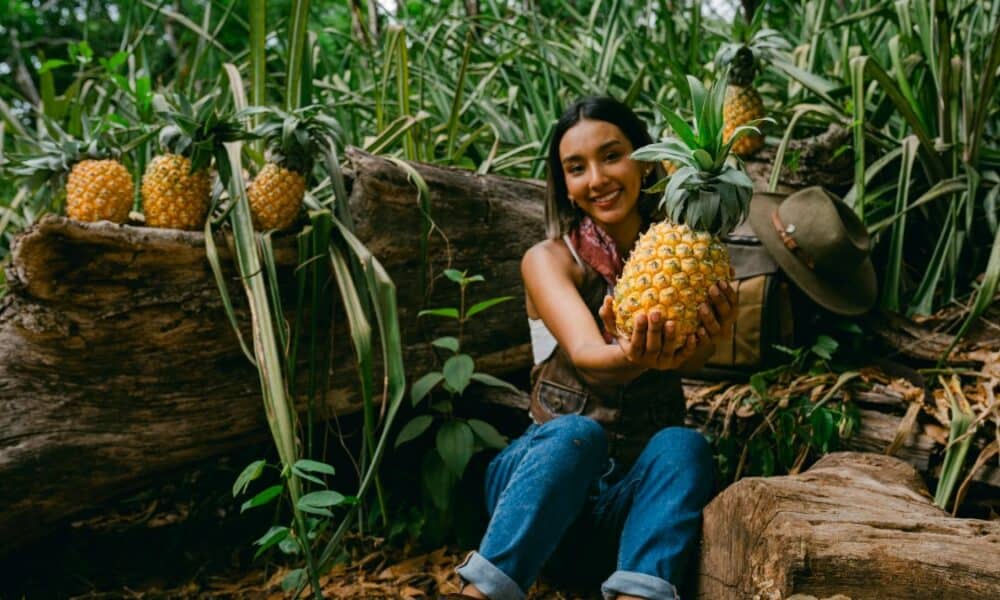 Conoce el NANCHE: el FRUTO DORADO de Nayarit | El Souvenir