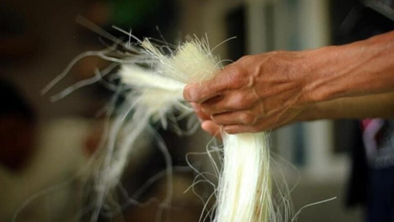 Los PERRITOS BAILARINES de COLIMA: una ARTESANÍA con RITMO | El Souvenir