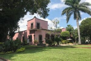 La TUBA: una BEBIDA ANCESTRAL de COLIMA | El Souvenir