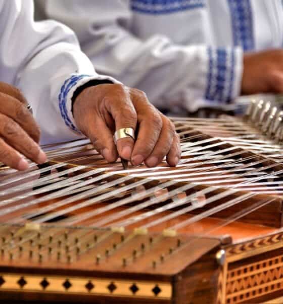 Conociendo el SALTERIO: Las cuerdas olvidadas de la ORQUESTA MEXICANA ...