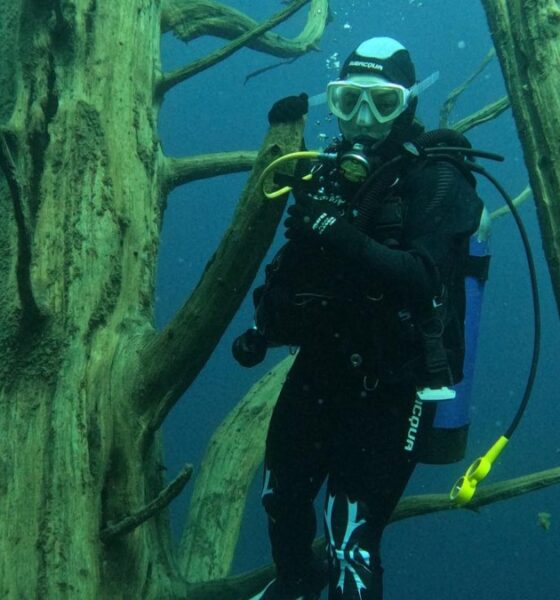 El BOSQUE SUMERGIDO del lago Traful: Belleza oculta entre el AGUA | El ...