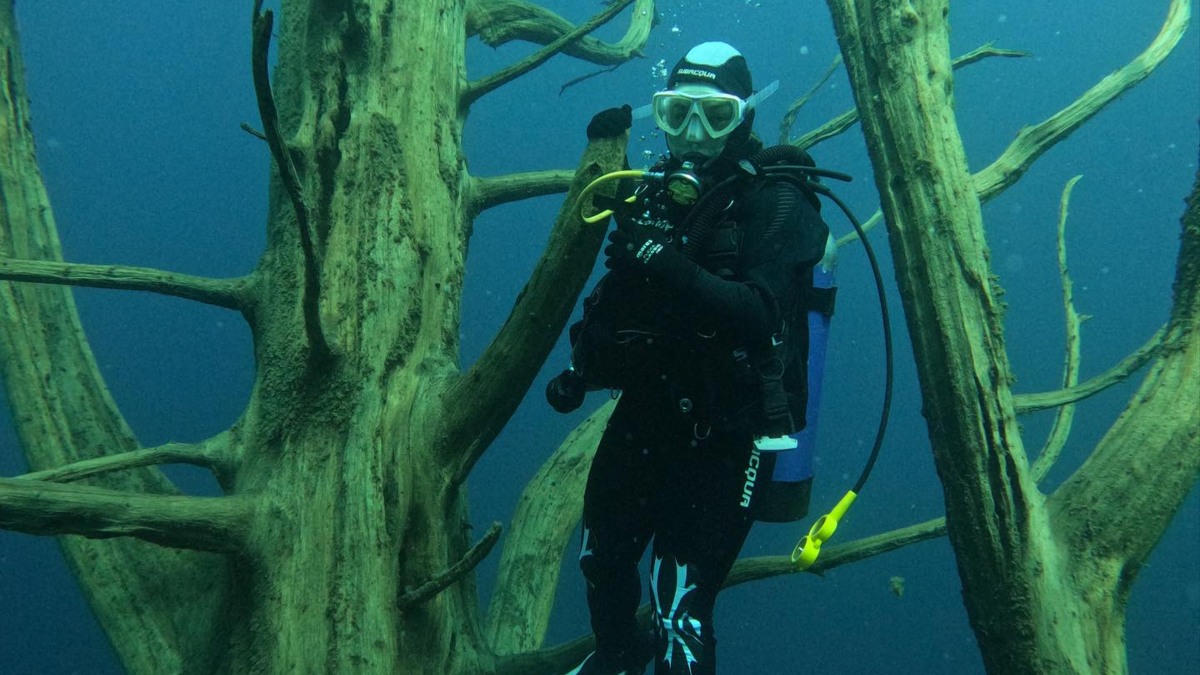 El BOSQUE SUMERGIDO del lago Traful: Belleza oculta entre el AGUA | El ...