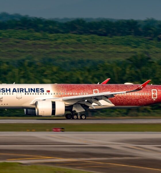 TURKISH AIRLINES incorpora el AVIÓN NÚMERO 500 a su flota | El Souvenir