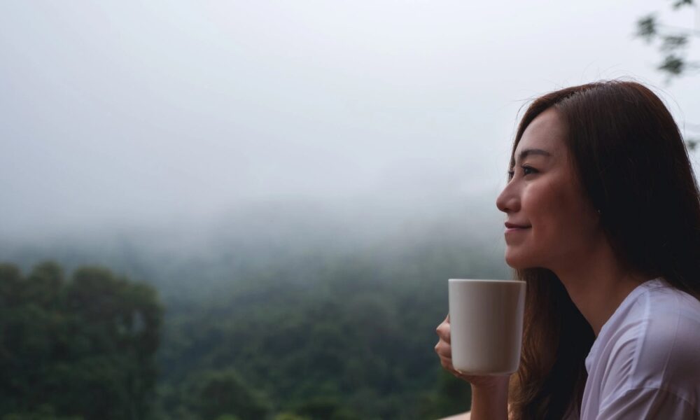 La RUTA del CAFÉ: Sabores TOSTADOS en las SIERRAS de Chiapas | El Souvenir