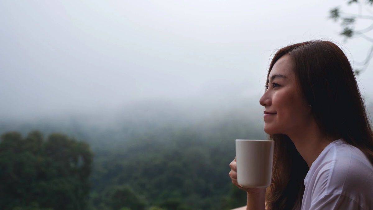 La RUTA del CAFÉ: Sabores TOSTADOS en las SIERRAS de Chiapas | El Souvenir